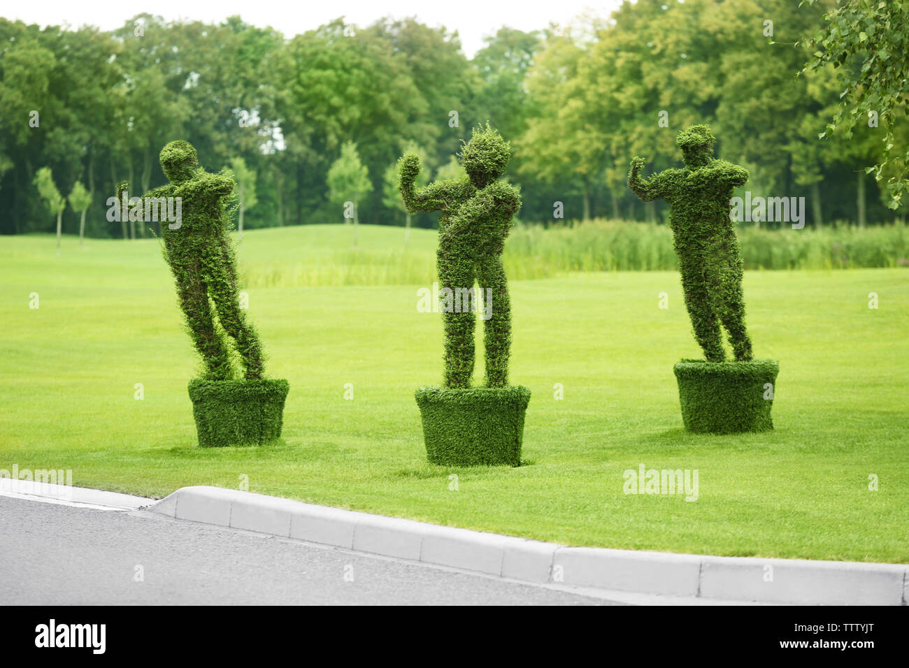 Three bushes in shape of people on green lawn Stock Photo - Alamy