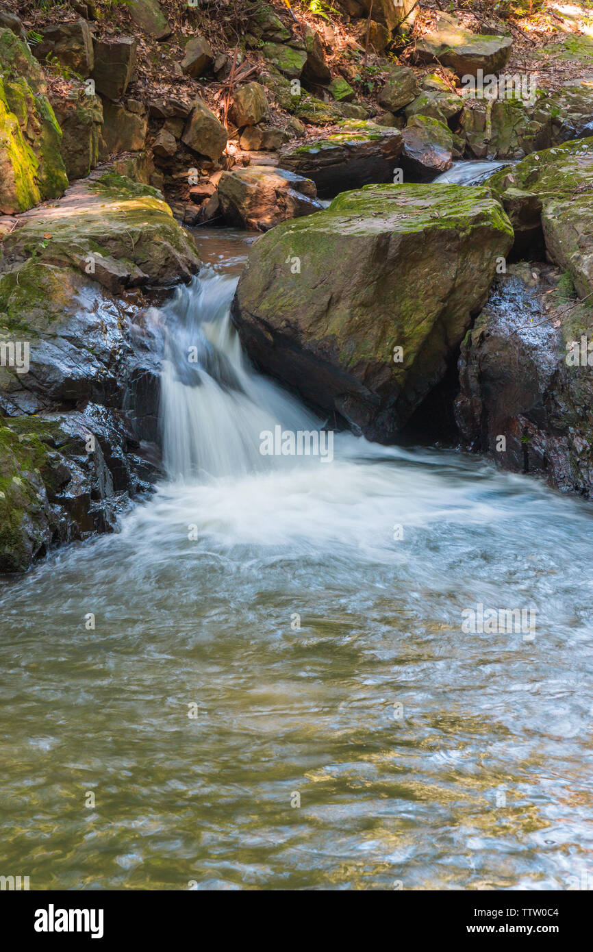 Little forest stream running water hi-res stock photography and images - Alamy