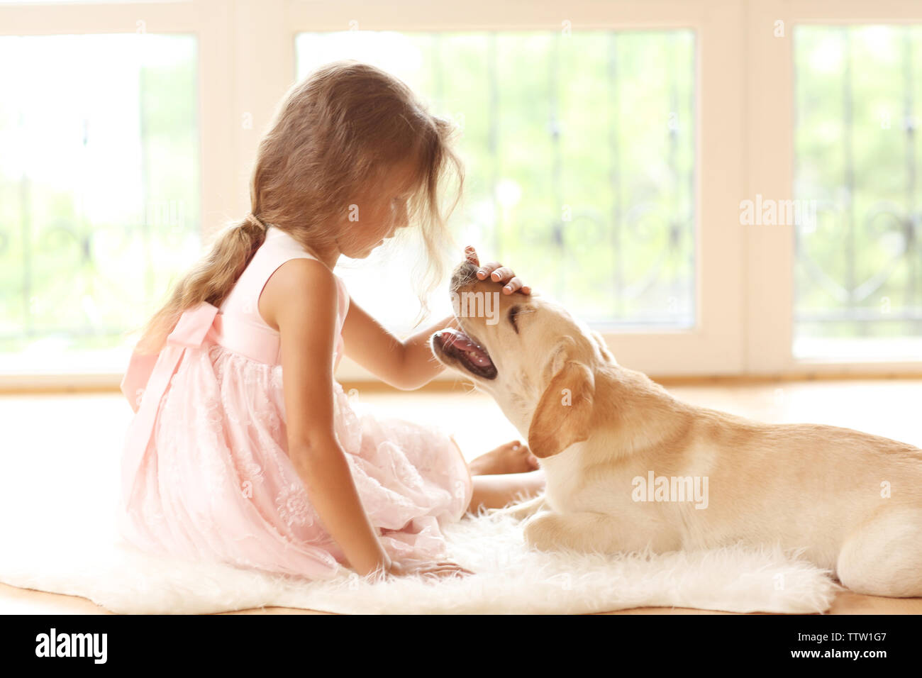 Labrador puppy little girl sitting hi-res stock photography and images ...