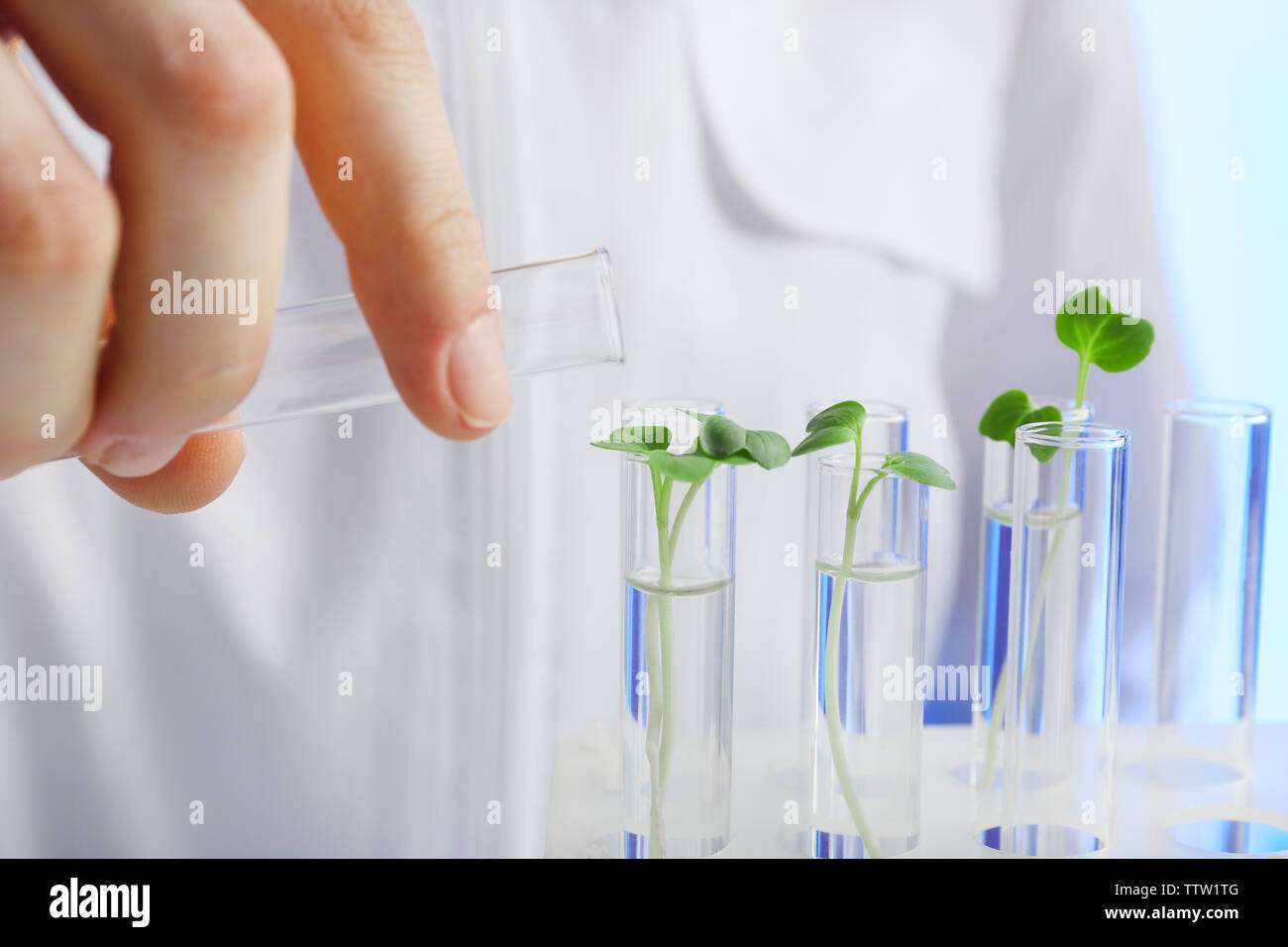 Female hand pouring water into test tube with plant Stock Photo - Alamy