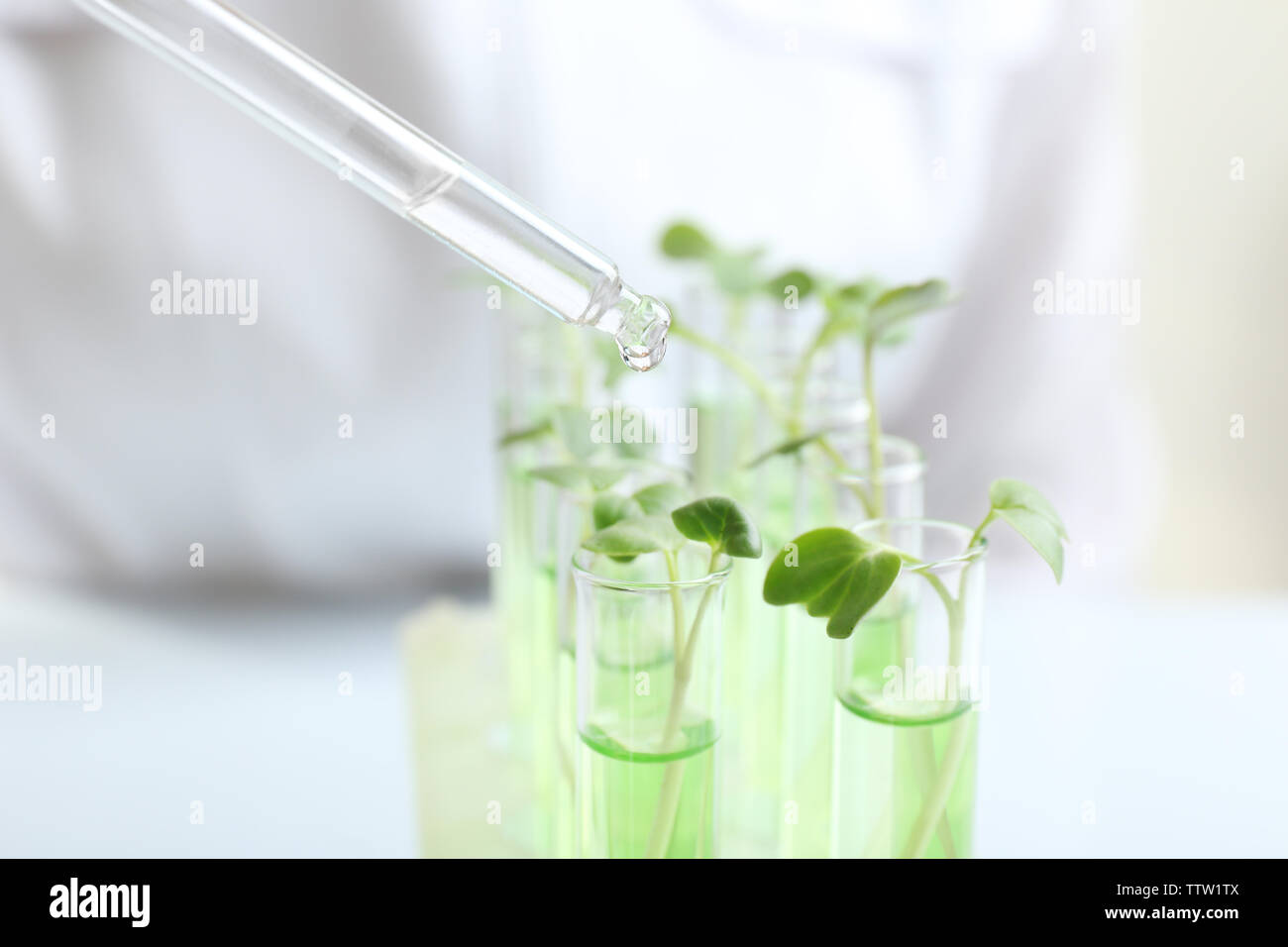 Genetic engineering and pipette hi-res stock photography and images - Alamy