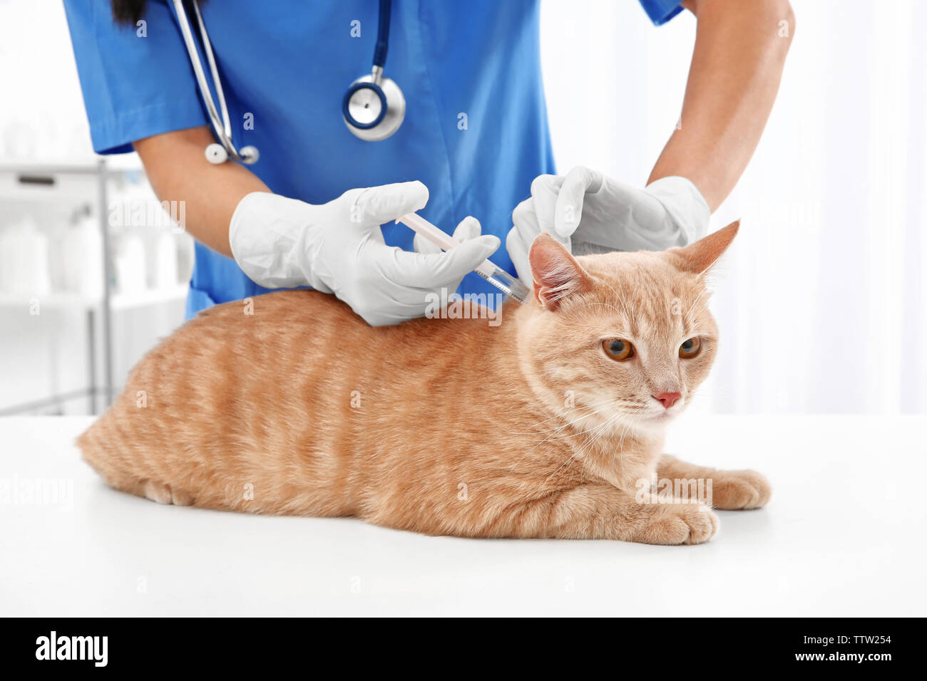 Cat injection hi-res stock photography and images - Alamy
