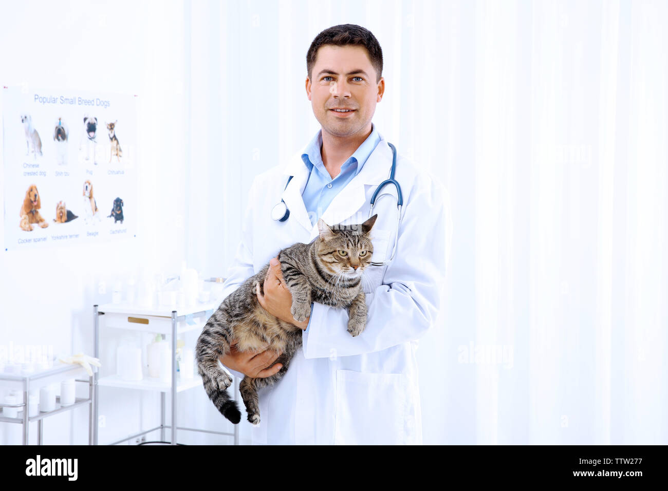 Portrait handsome male vet hi-res stock photography and images - Alamy
