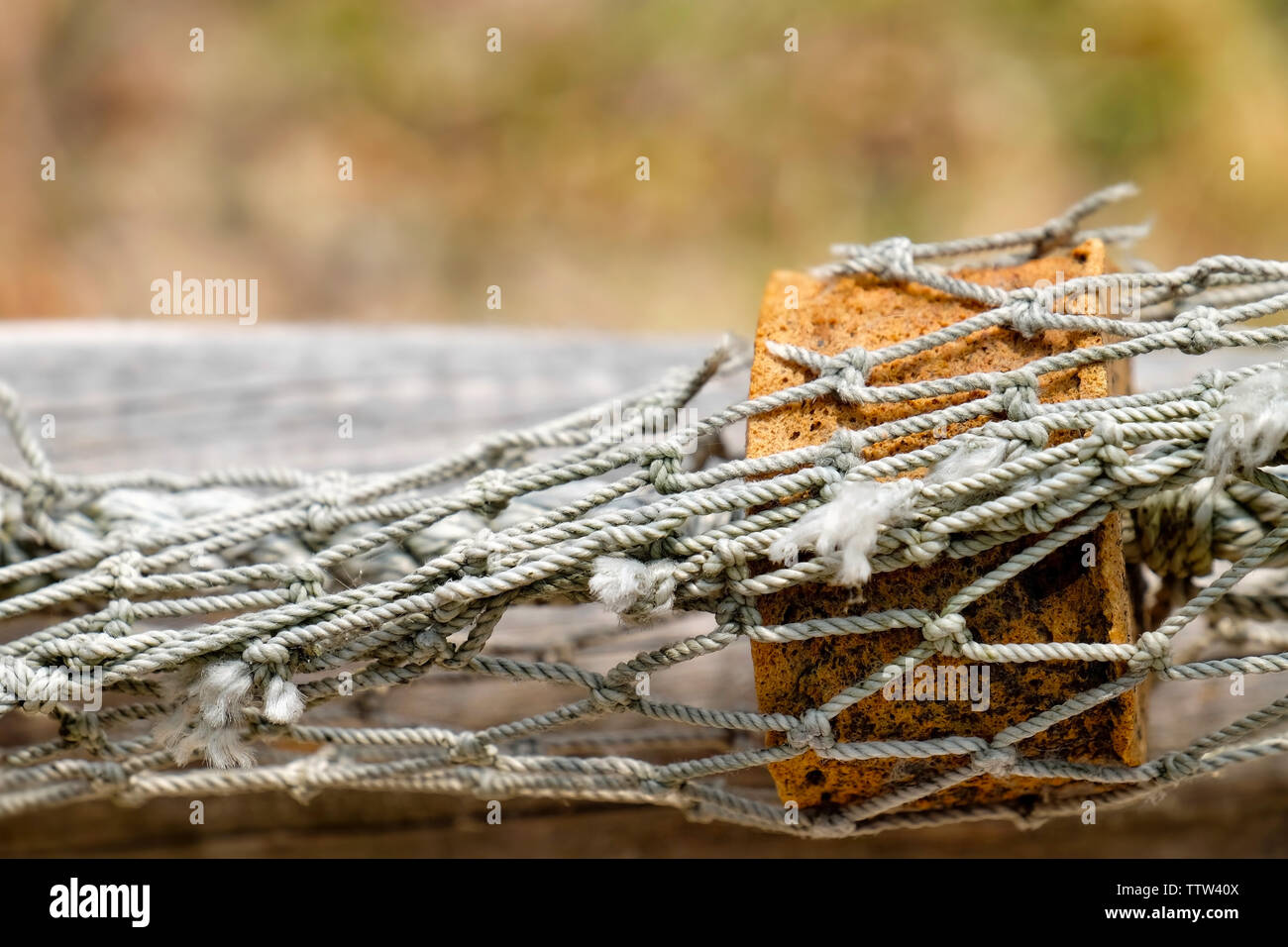 Vintage swimmer ocean hi-res stock photography and images - Alamy