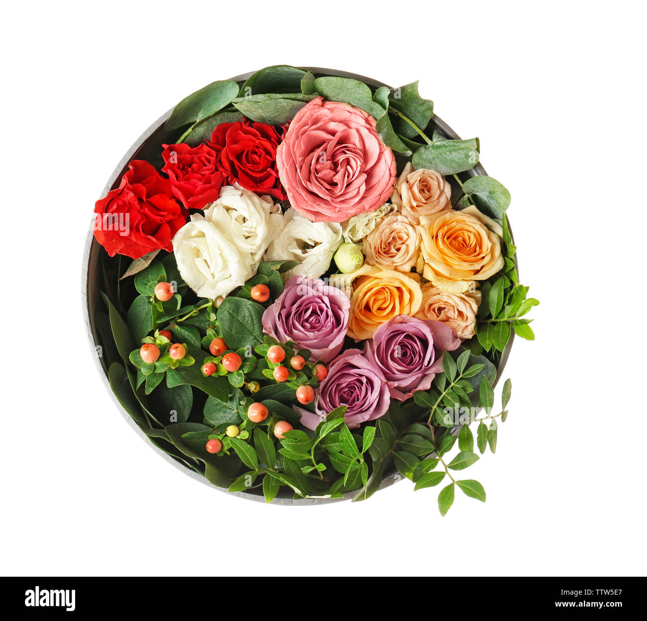 Twigs rose isolated on Cut Out Stock Images & Pictures - Alamy