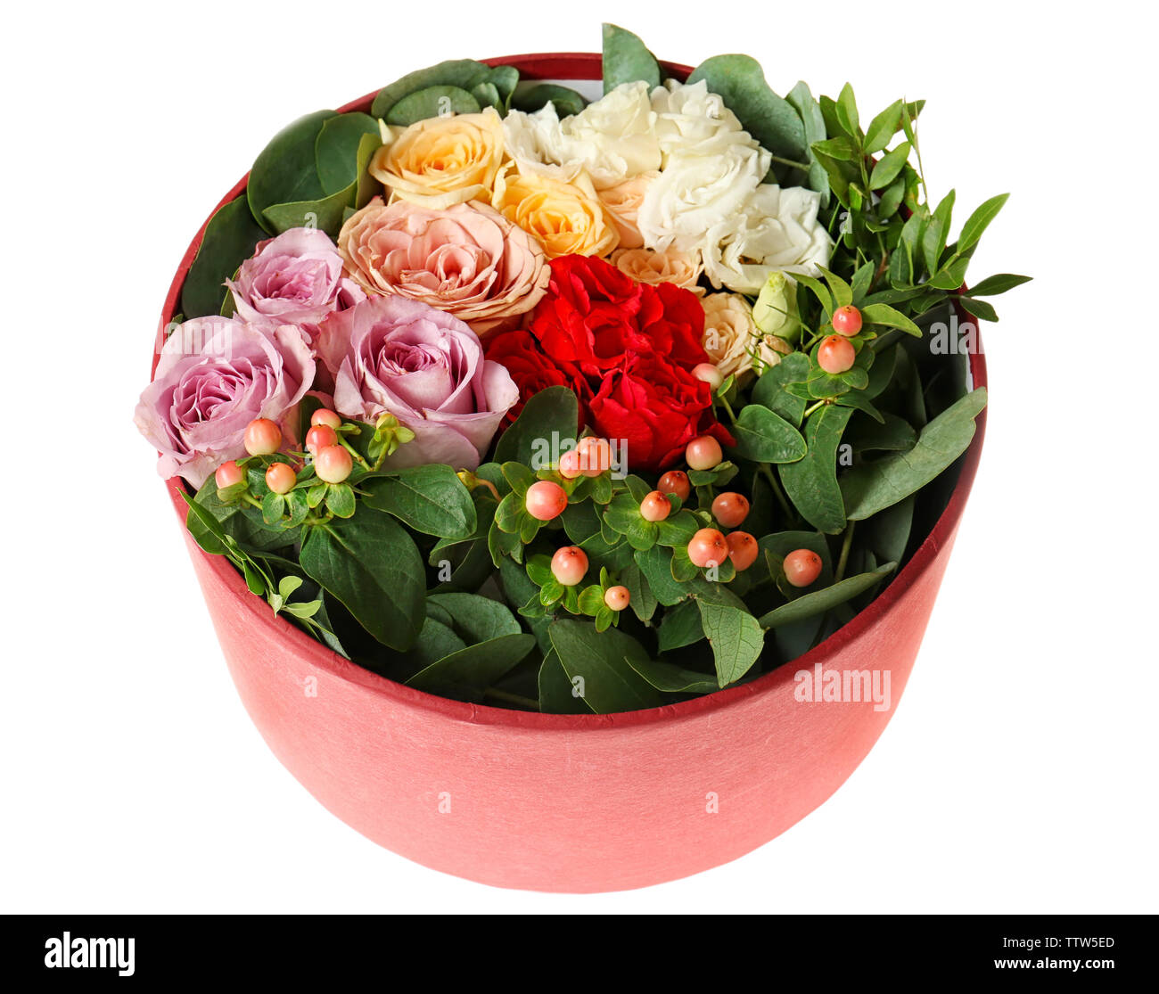 Twigs rose isolated on Cut Out Stock Images & Pictures - Alamy