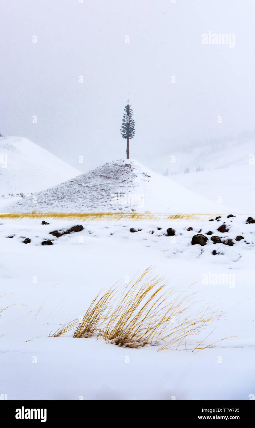 Man cold lonely lake snow hi-res stock photography and images - Alamy