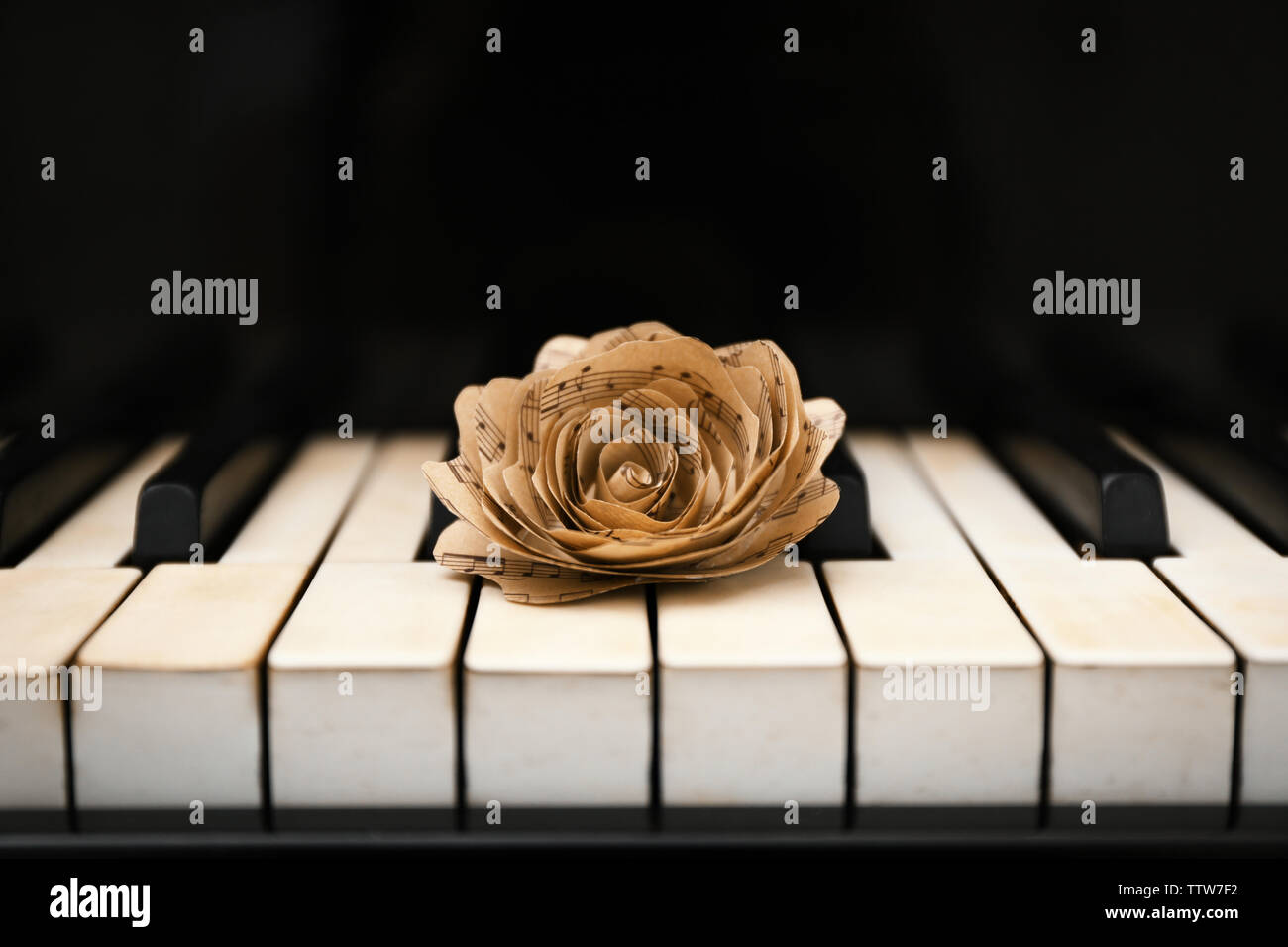 Rose made of music notes on piano keys Stock Photo - Alamy