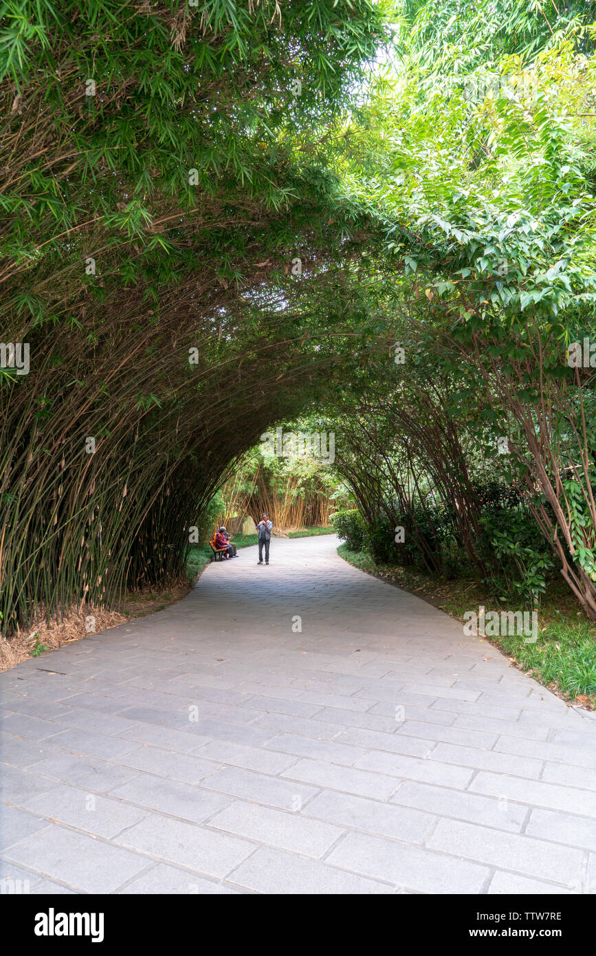 Autumn Color of Huanhuaxi Park, Chengdu Stock Photo - Alamy