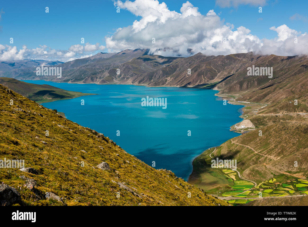 Scenery of Yanghu Lake, Tibet Stock Photo - Alamy