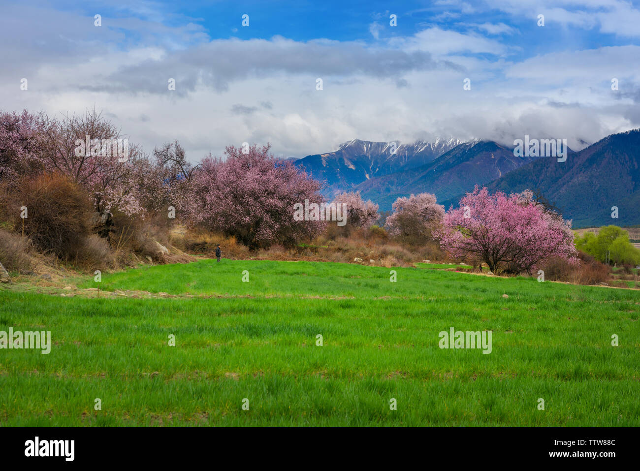 Chinji High Resolution Stock Photography and Images - Alamy