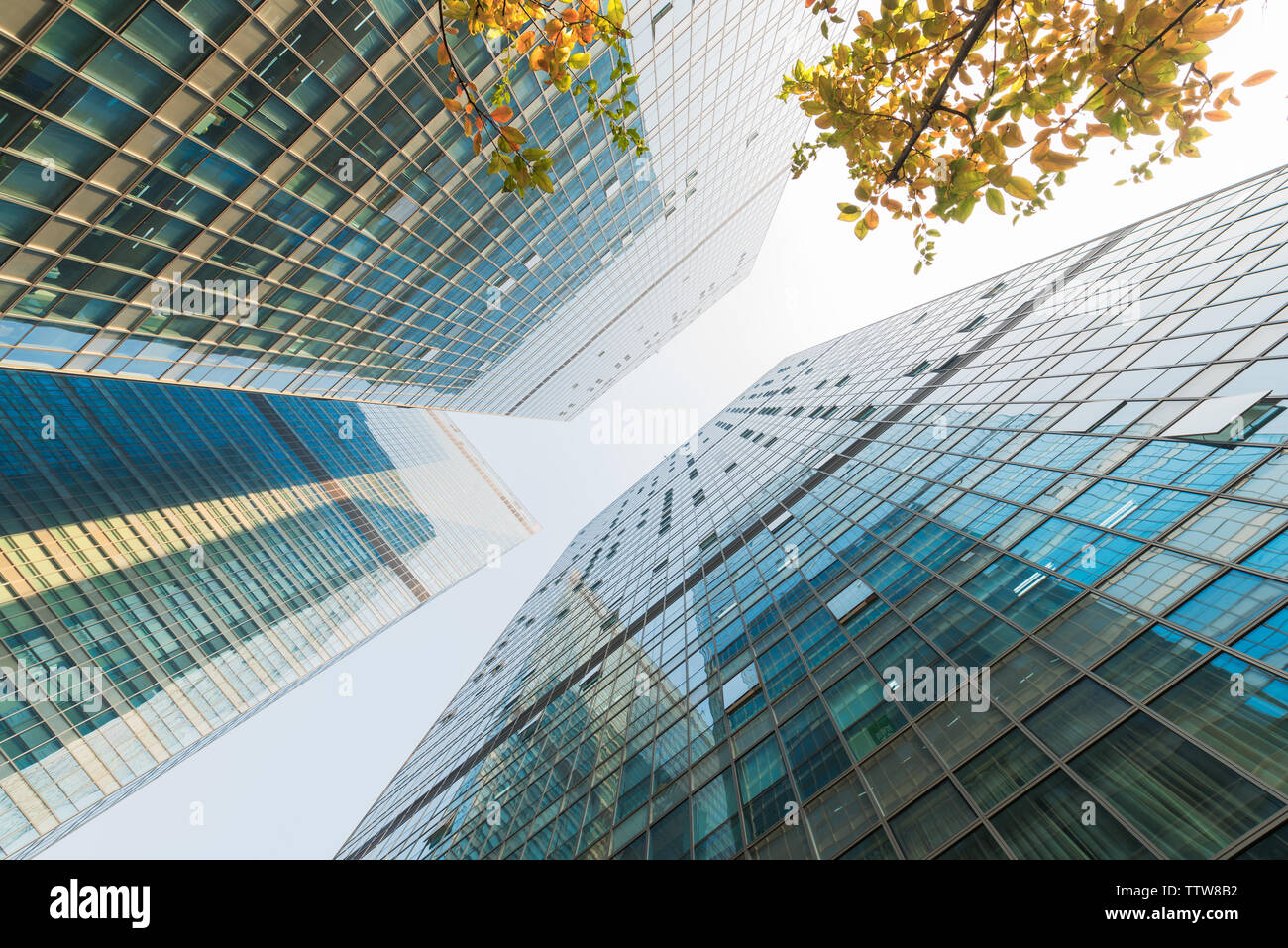 Glass curtain wall of high-rise building building Stock Photo - Alamy