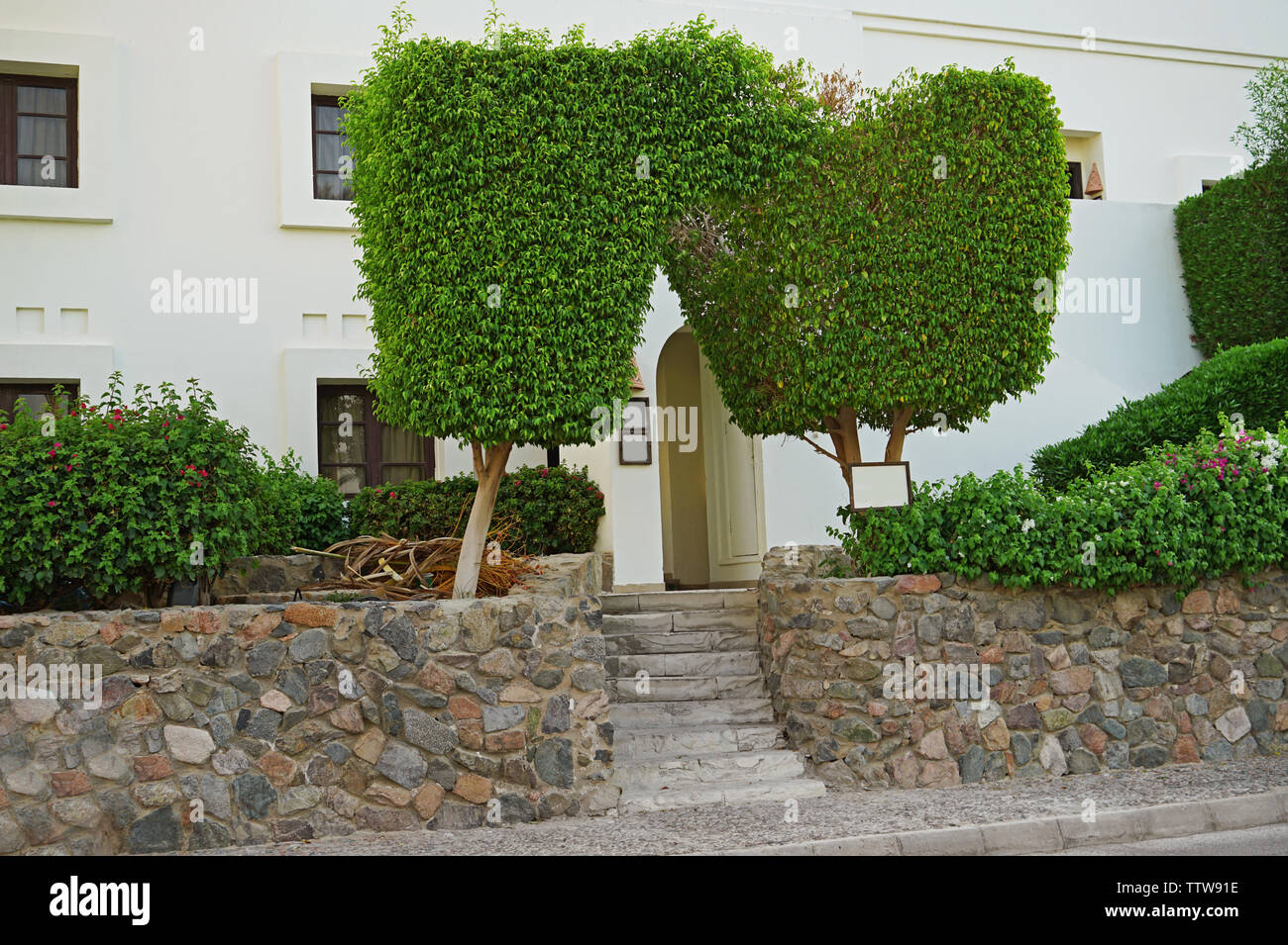 Square tree topiary hi-res stock photography and images - Alamy