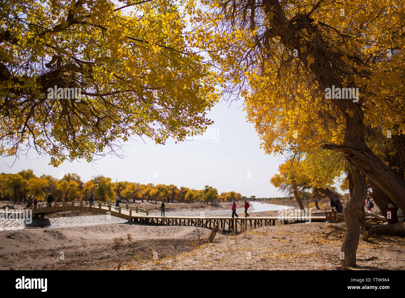 Hu yang and hu yang lin hi-res stock photography and images - Alamy