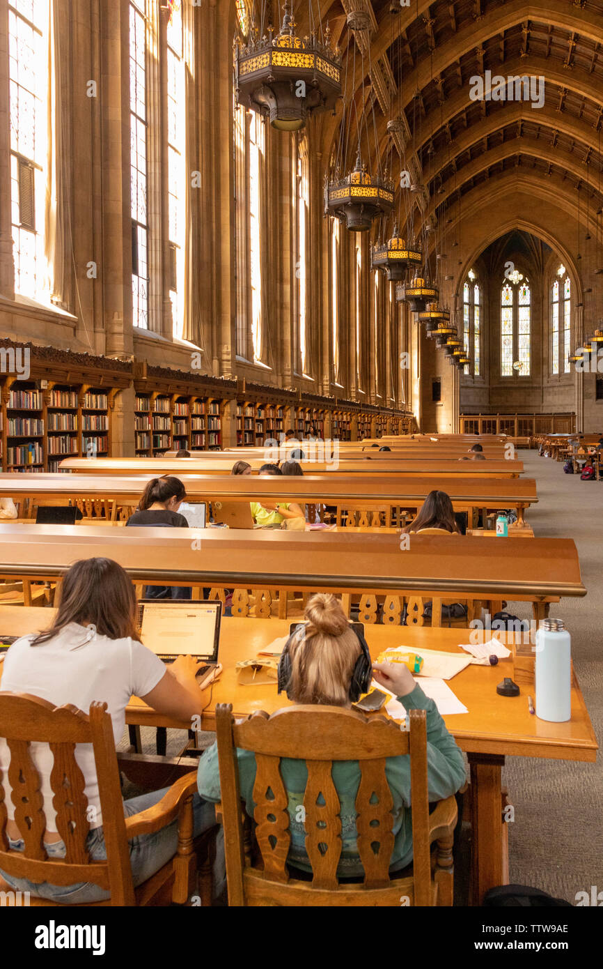 University Library Reading Room High Resolution Stock Photography and ...