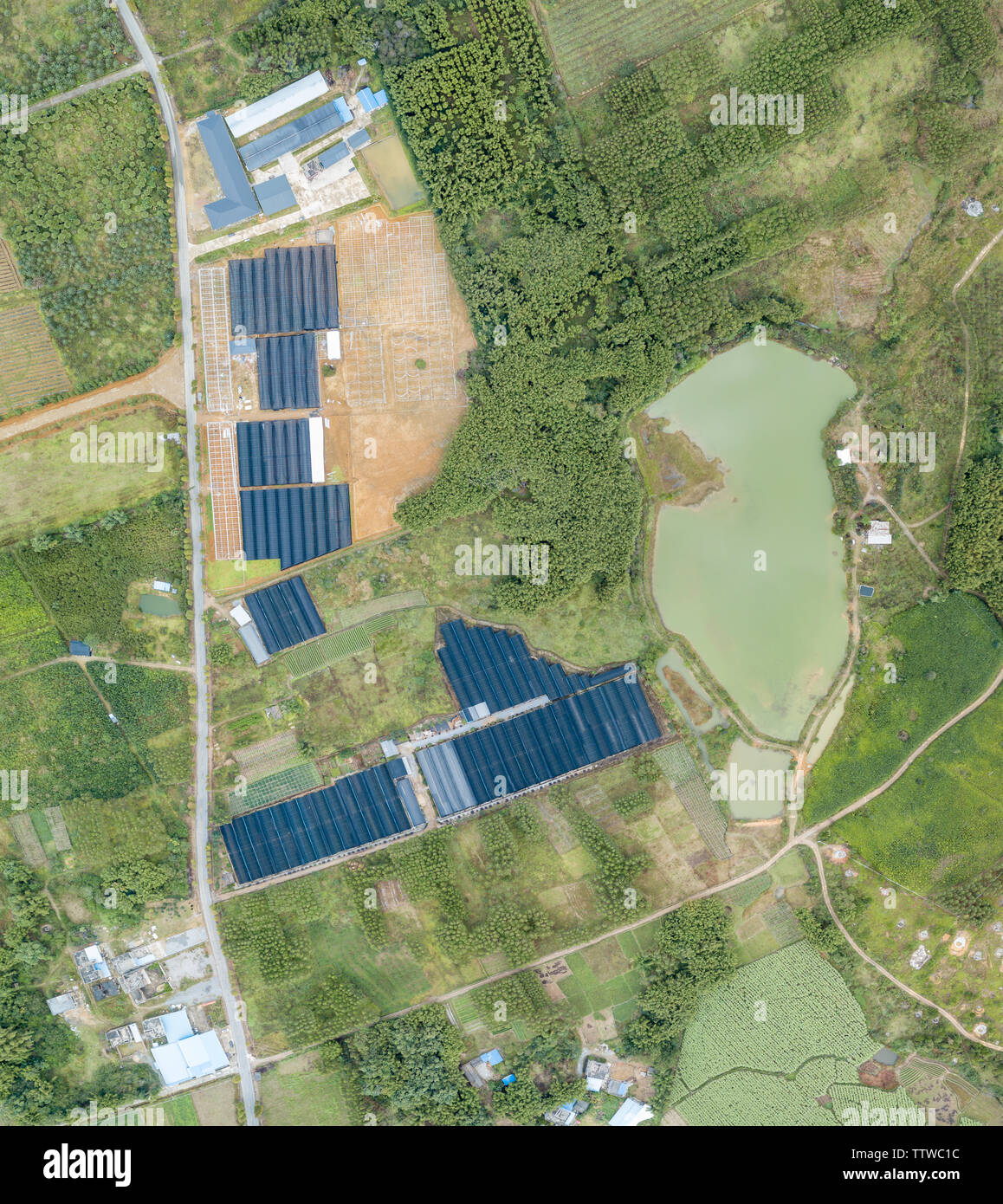 Large scale tree planting hi-res stock photography and images - Alamy