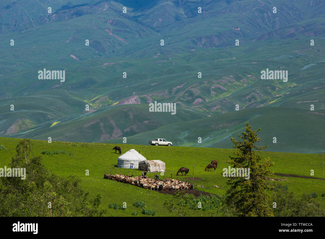 The Narati Prairie, which has a river valley and a mountain prairie ...
