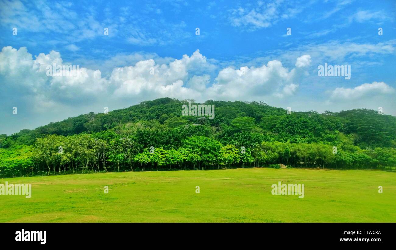 Shenzhen Lianhuashan Park is located at the northernmost end of the ...