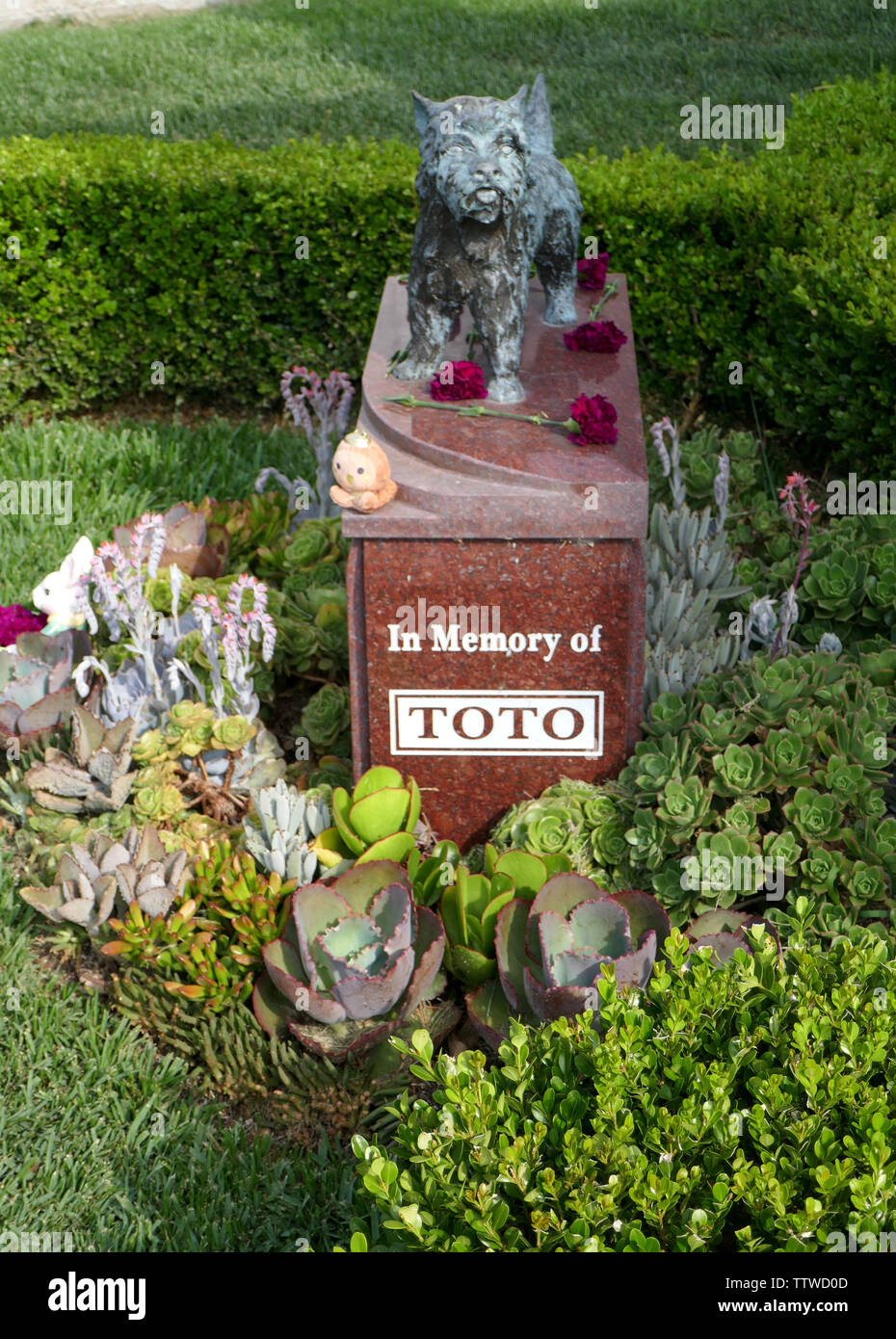Hollywood, California, USA A general view of atmosphere of Toto's Grave ...