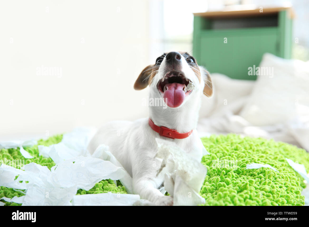 Biting paper hi-res stock photography and images - Alamy