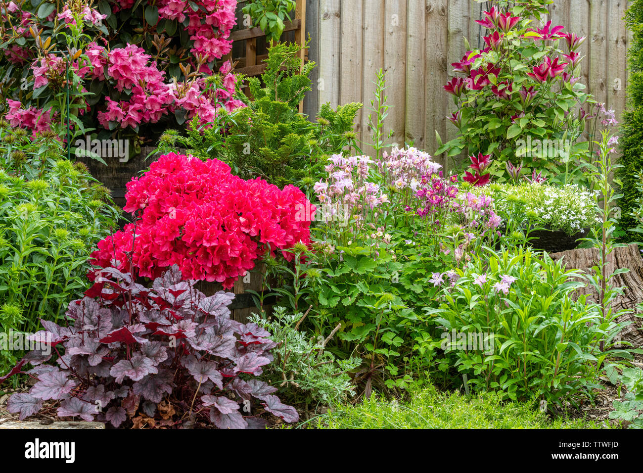 Spring garden cottage uk hi-res stock photography and images - Alamy
