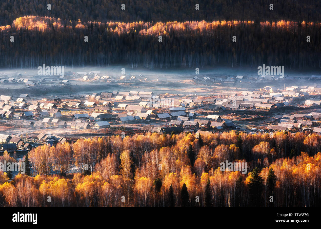 Autumn color of grasses Stock Photo - Alamy