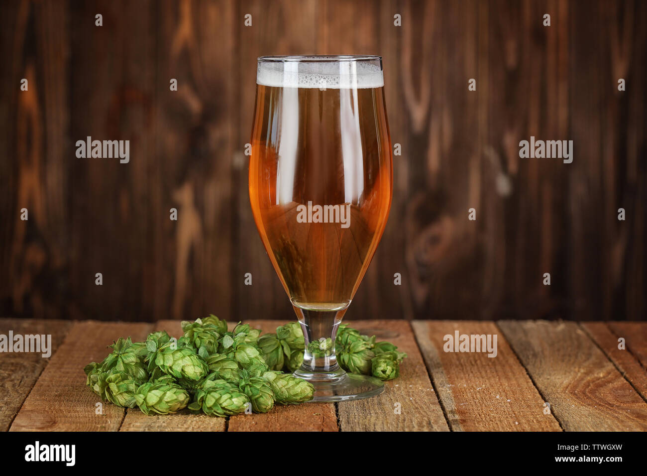 Beer glass pint alcohol hop hops barley hi-res stock photography and ...