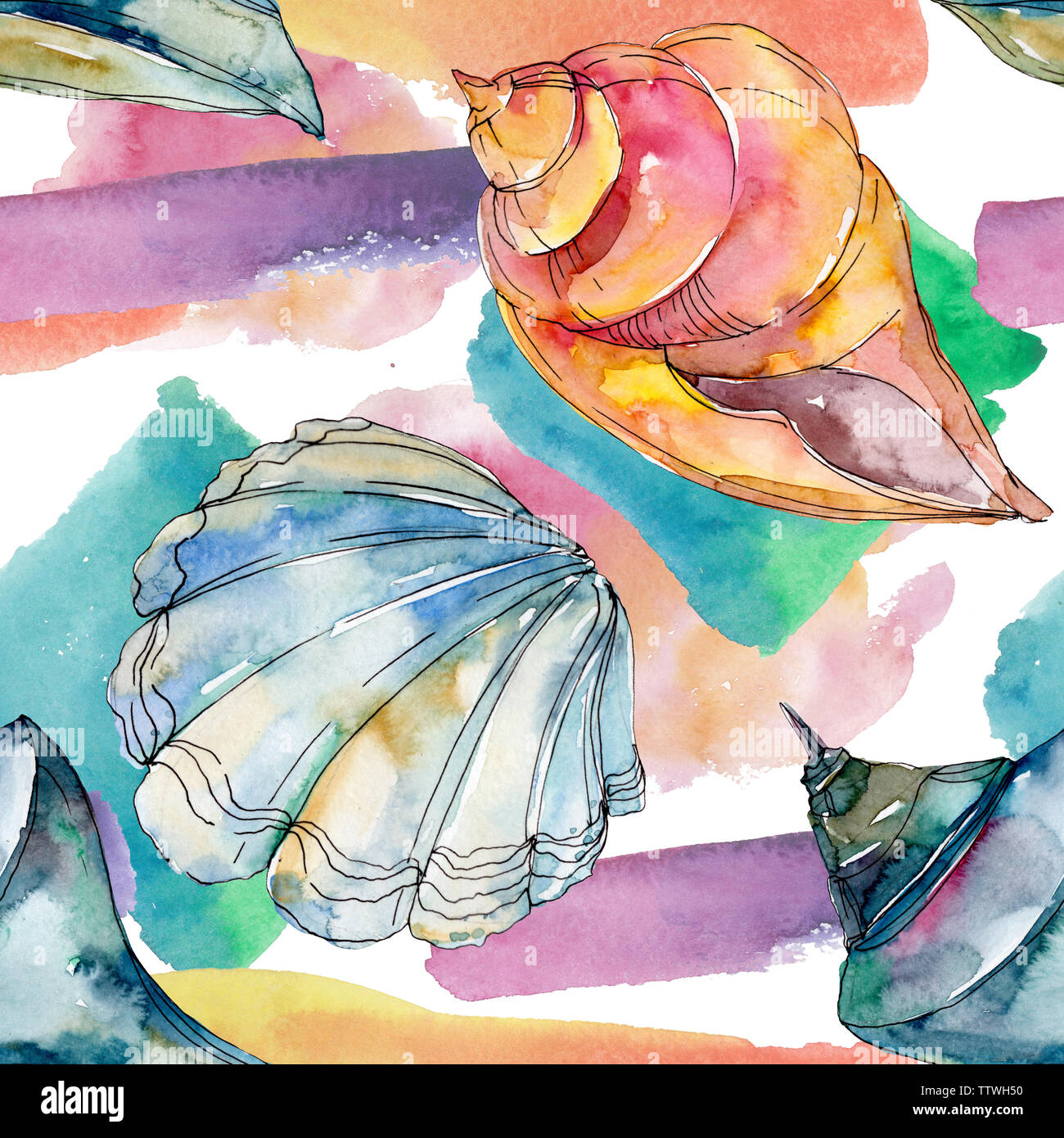 Summer beach seashell tropical underwater elements. Watercolor ...
