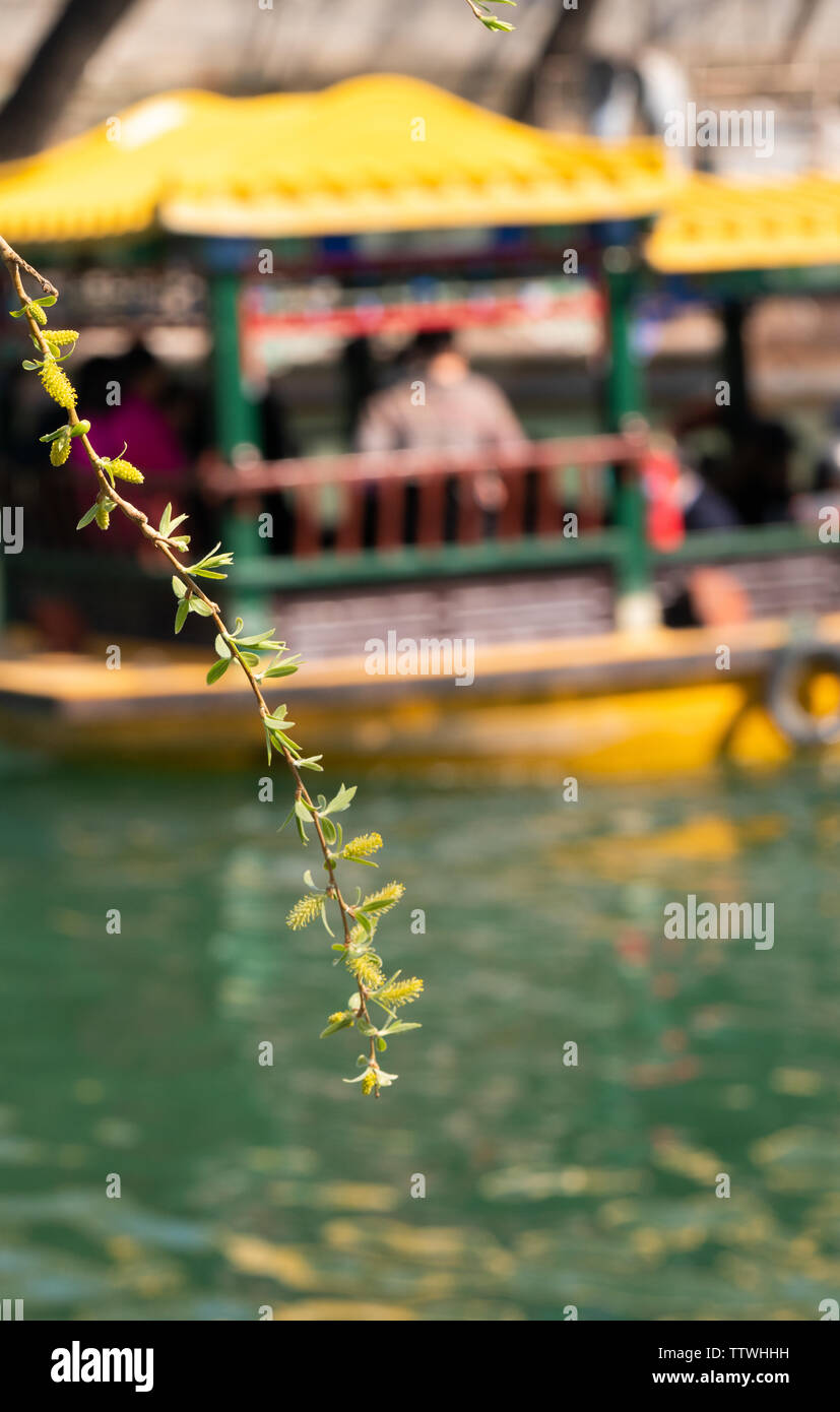 Beijing spring summer palace beautiful scenery, popular tourist ...