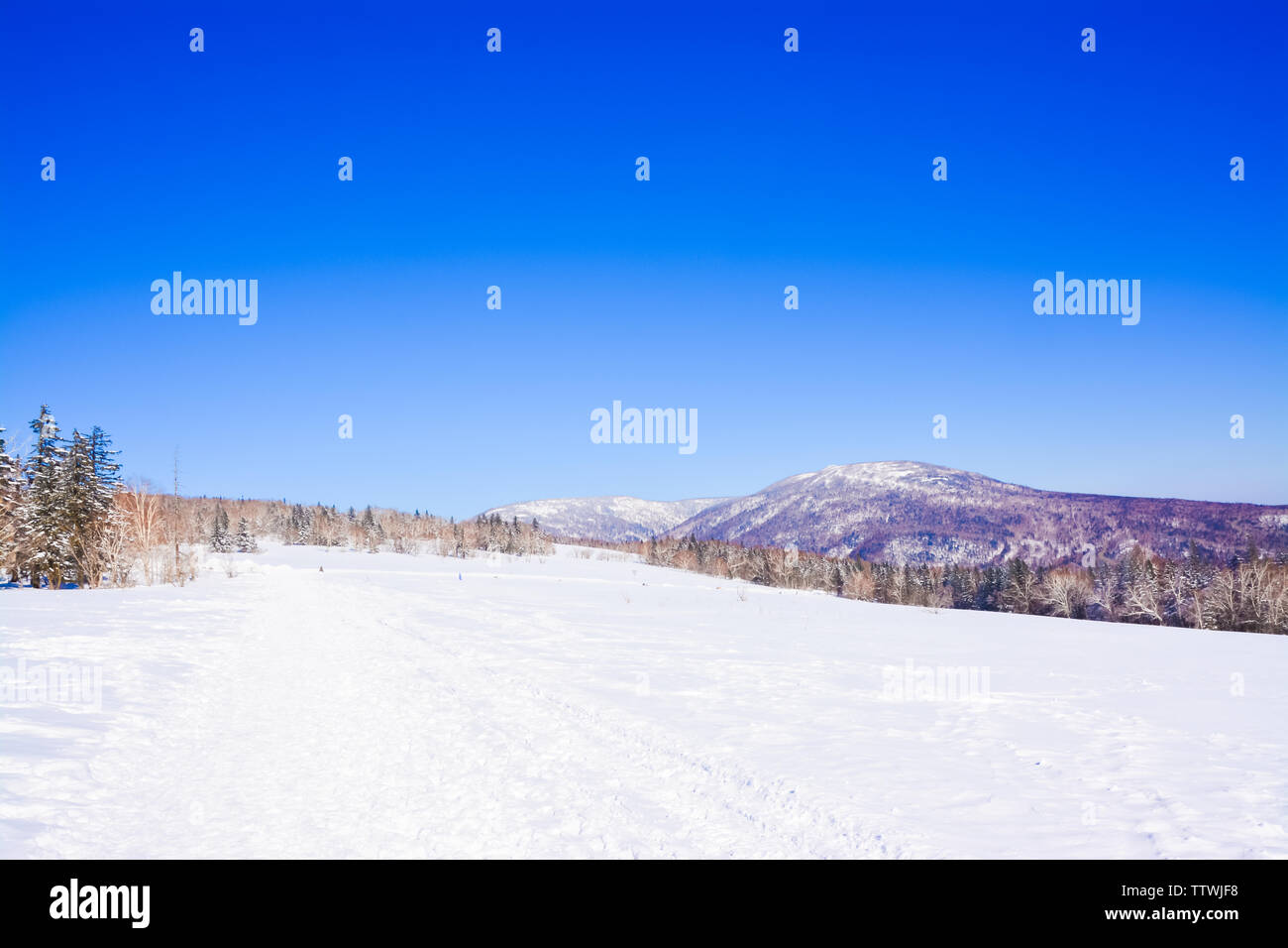 Snowscape, set of pictures Stock Photo - Alamy