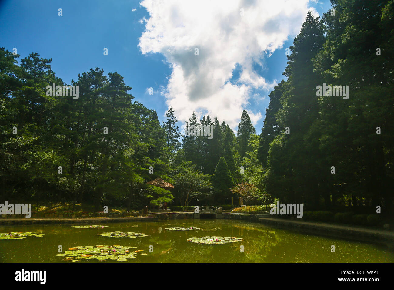 Jiangxi Lushan scenery picture, including Pokou scenic map, embroidery ...