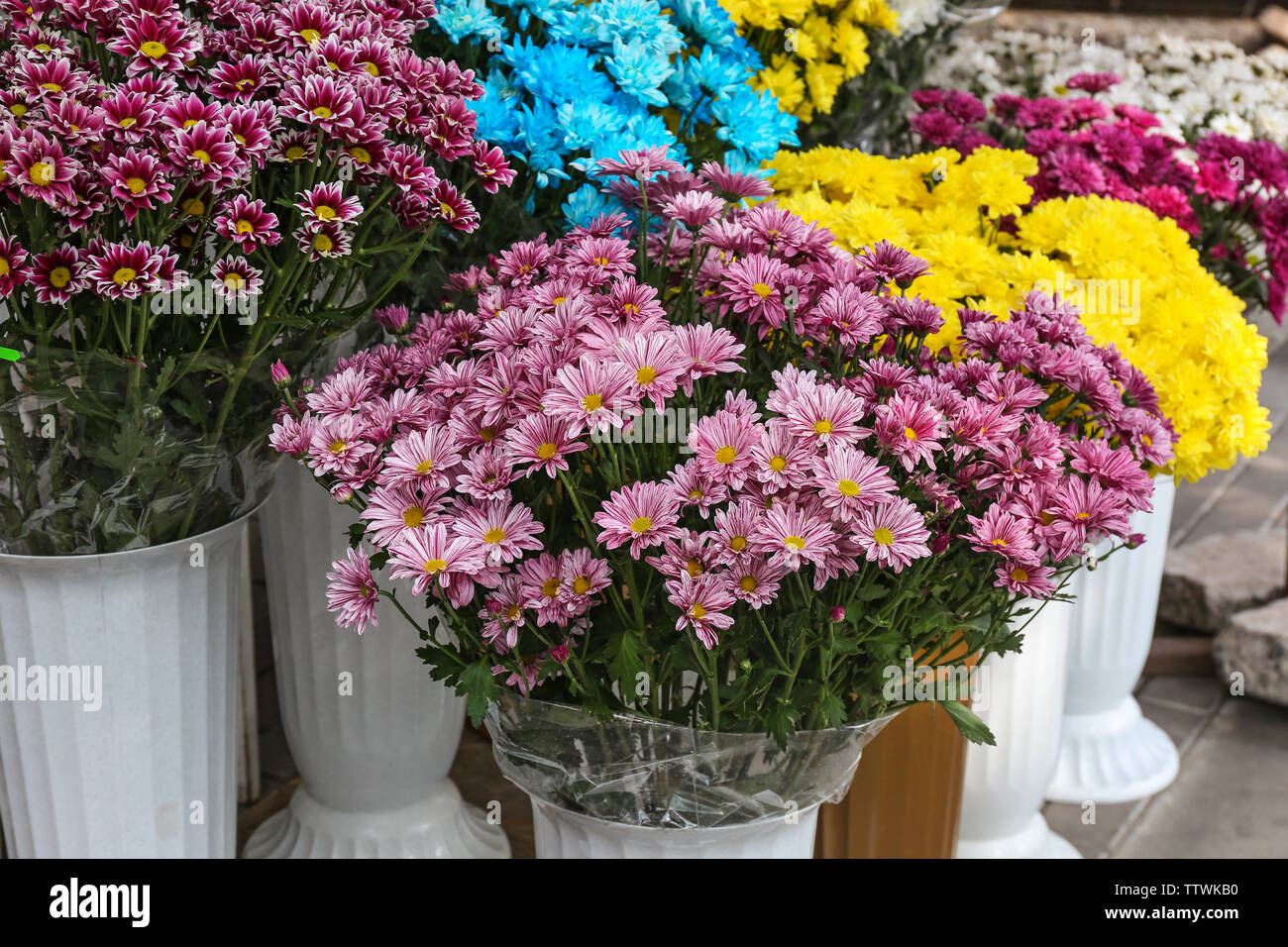 Fresh flowers on display outdoors Stock Photo - Alamy