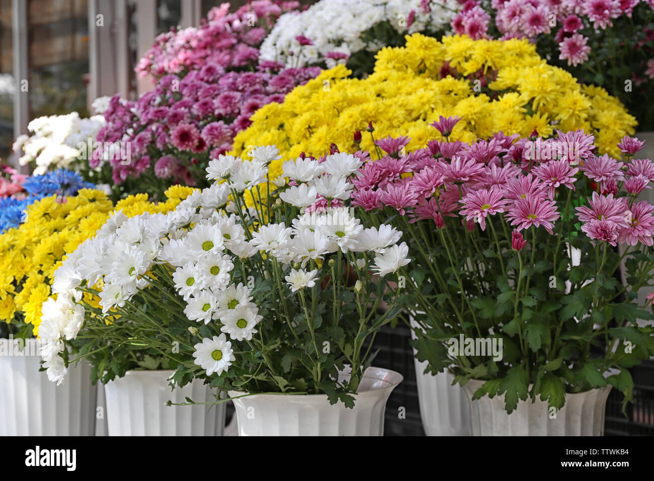Fresh flowers on display outdoors Stock Photo - Alamy
