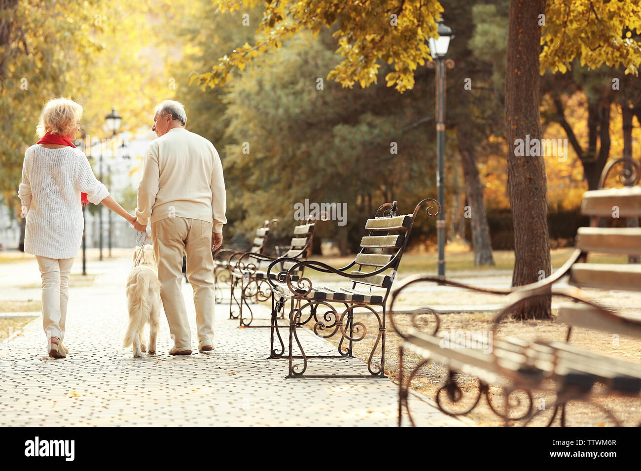Senior couple walking dog old man woman park hi-res stock photography ...