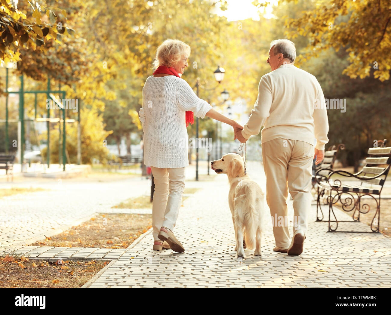 Senior couple walking dog park old man woman hi-res stock photography ...