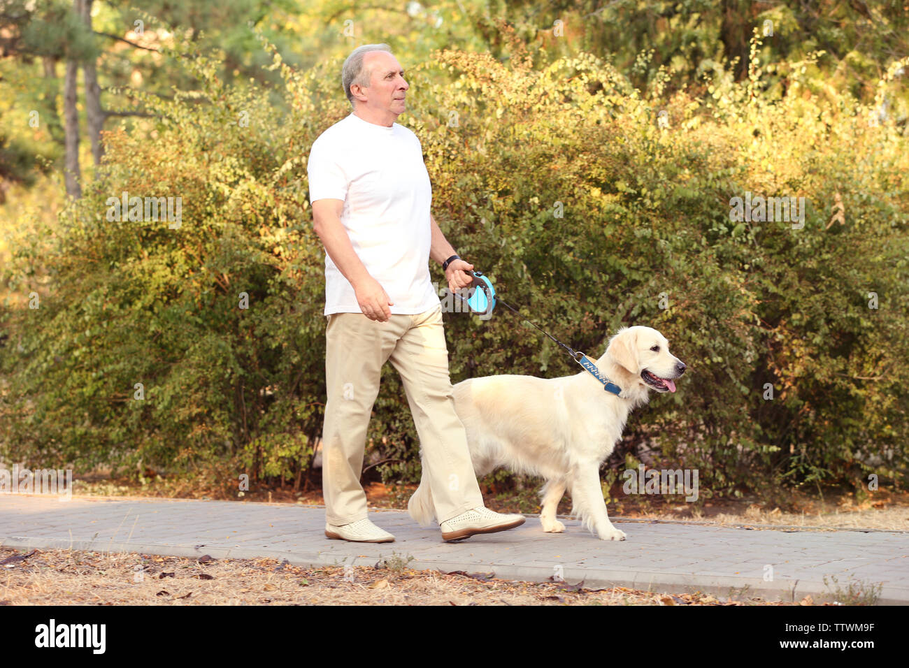 Man with big dog hi-res stock photography and images - Alamy