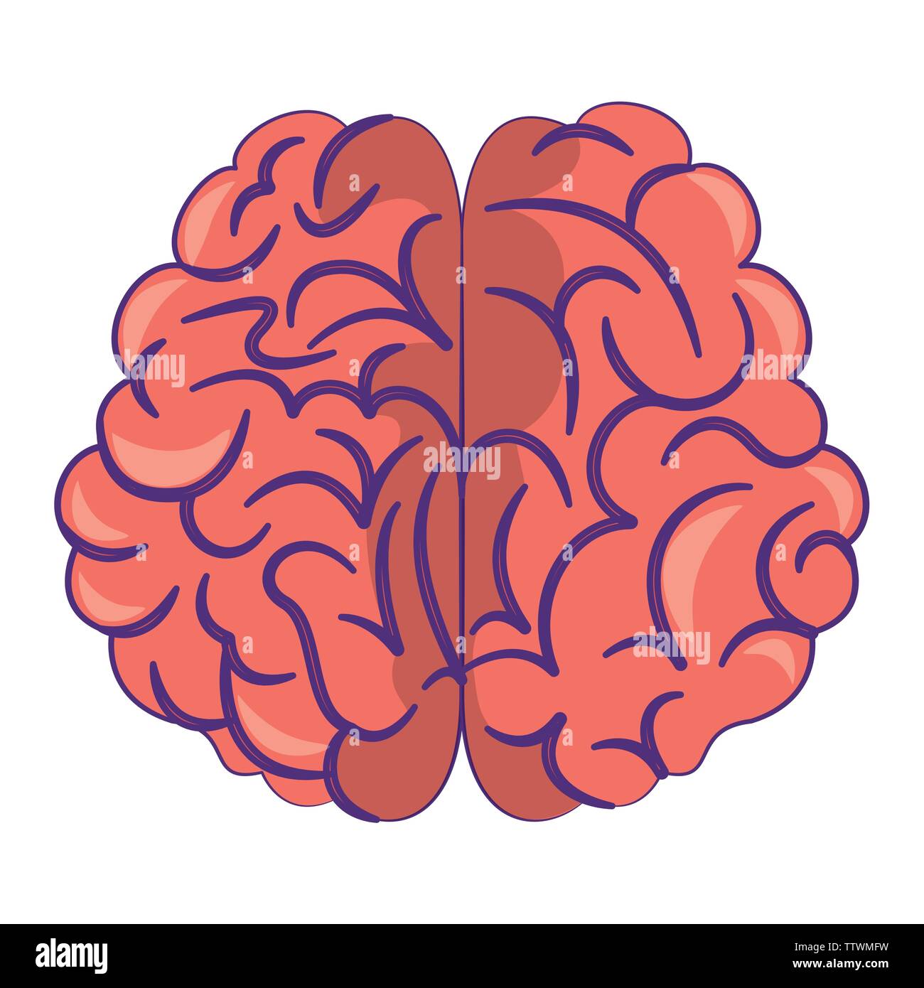 Human brain intelligence symbol cartoon isolated Stock Vector Image ...