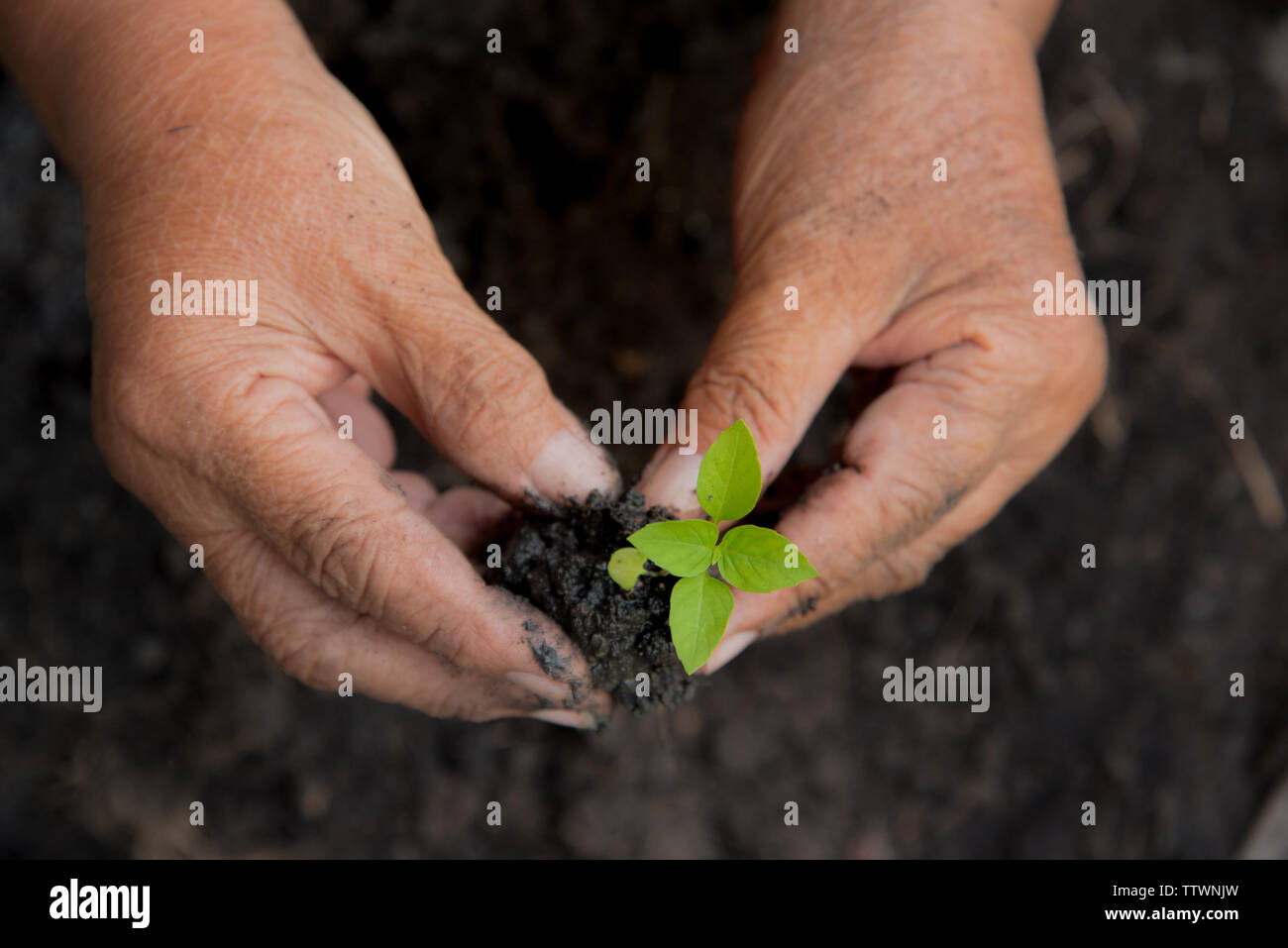 Save soil hi-res stock photography and images - Alamy