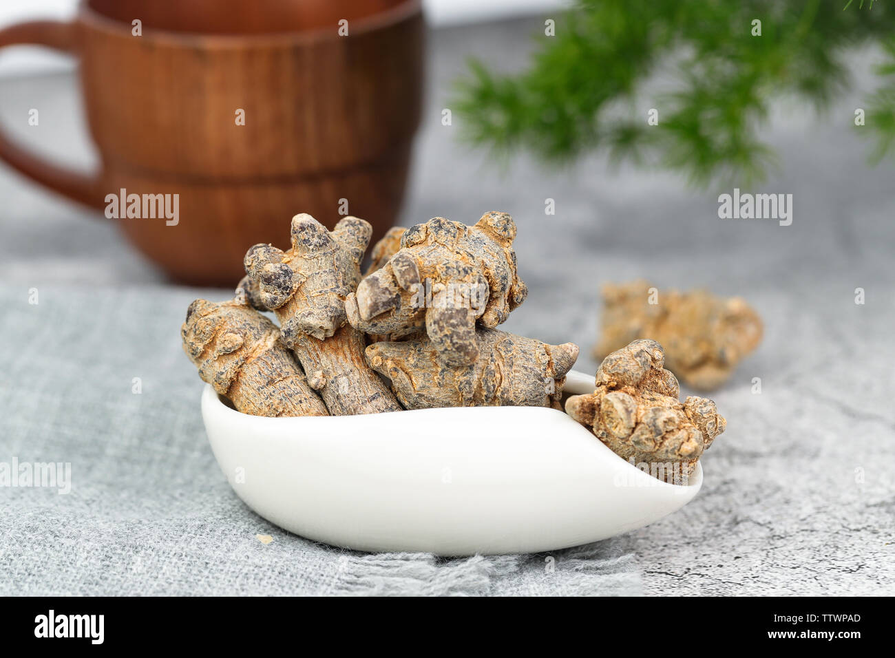 Tian 37 of Chinese medicinal materials Stock Photo - Alamy