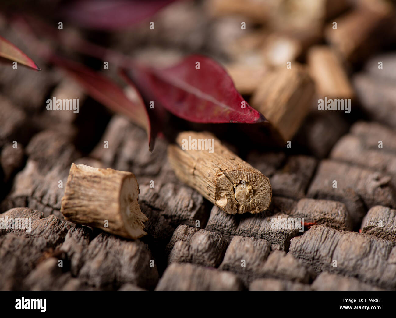 Traditional Chinese medicine mother herb Stock Photo - Alamy