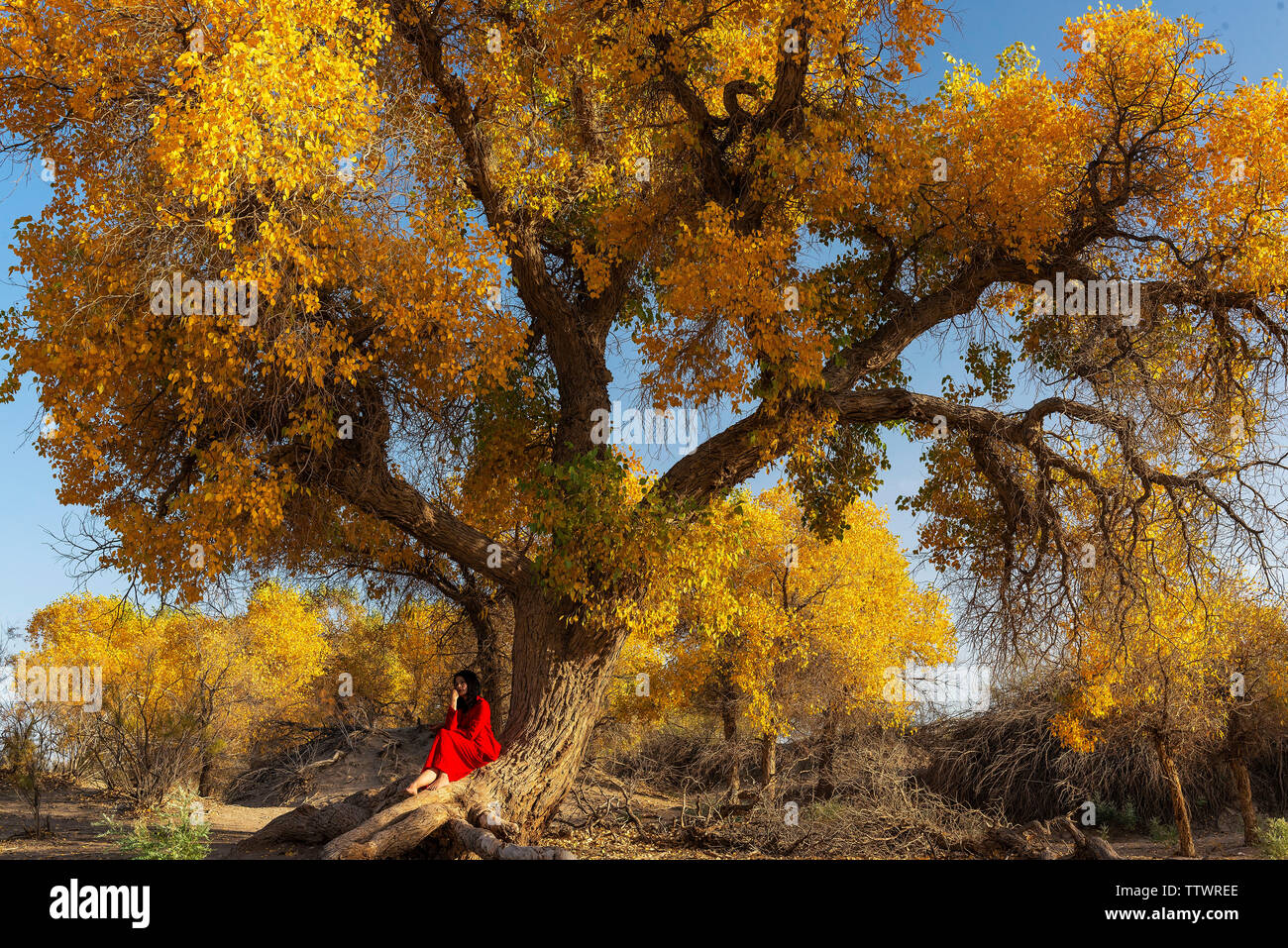 Hu yang and hu yang lin hi-res stock photography and images - Alamy