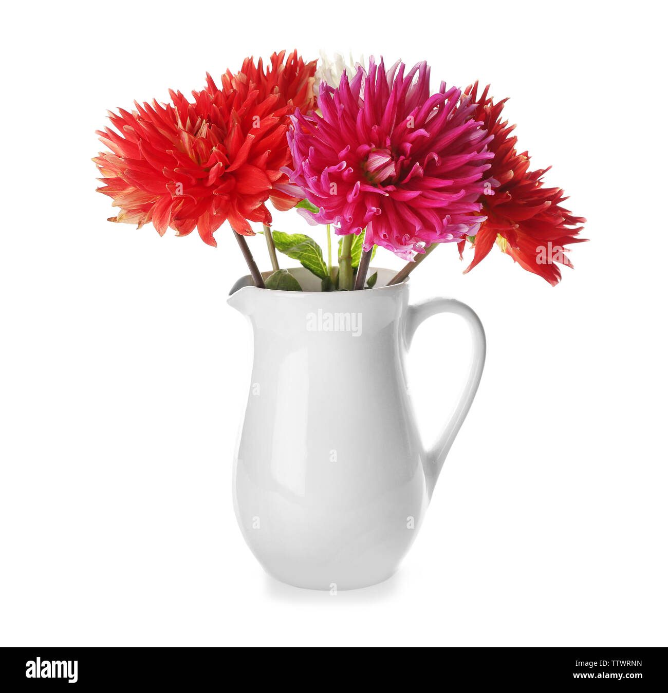 Beautiful dahlia flowers in jug, isolated on white Stock Photo - Alamy
