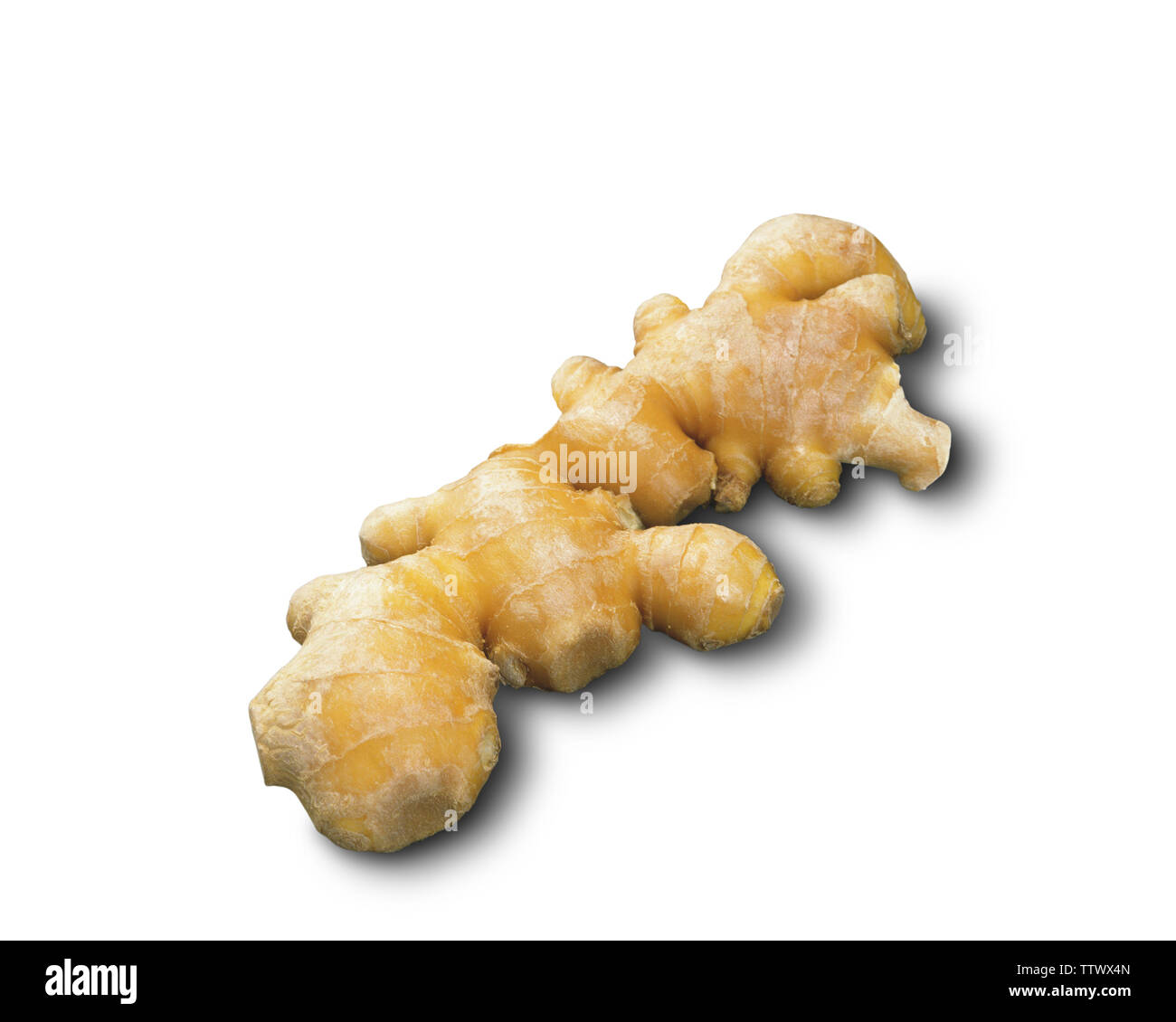 Root studios hi-res stock photography and images - Alamy