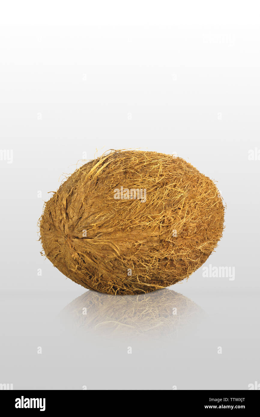Coconut nutrition hi-res stock photography and images - Alamy