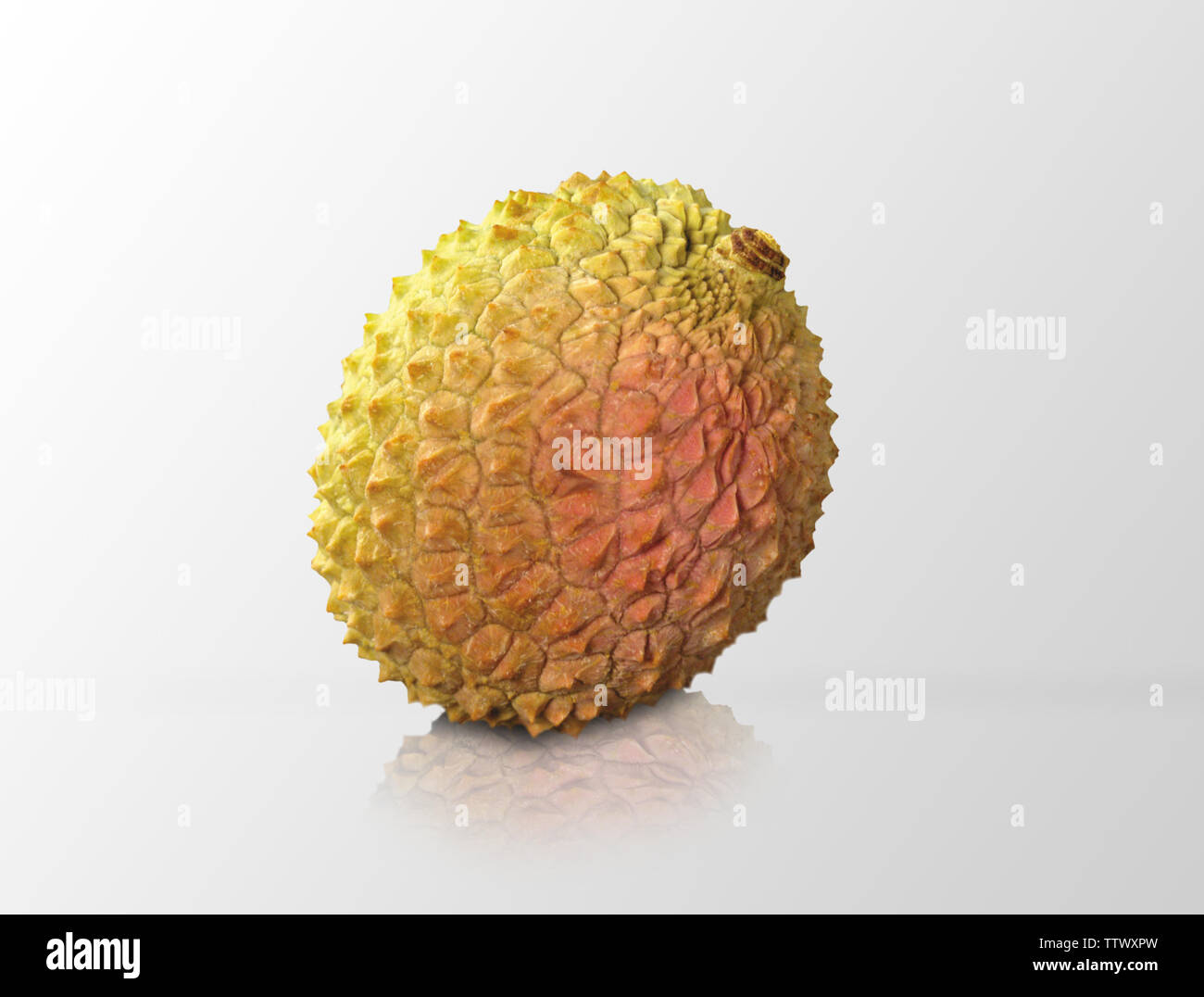 Lychee litchi chinensis litchi laichi hi-res stock photography and ...