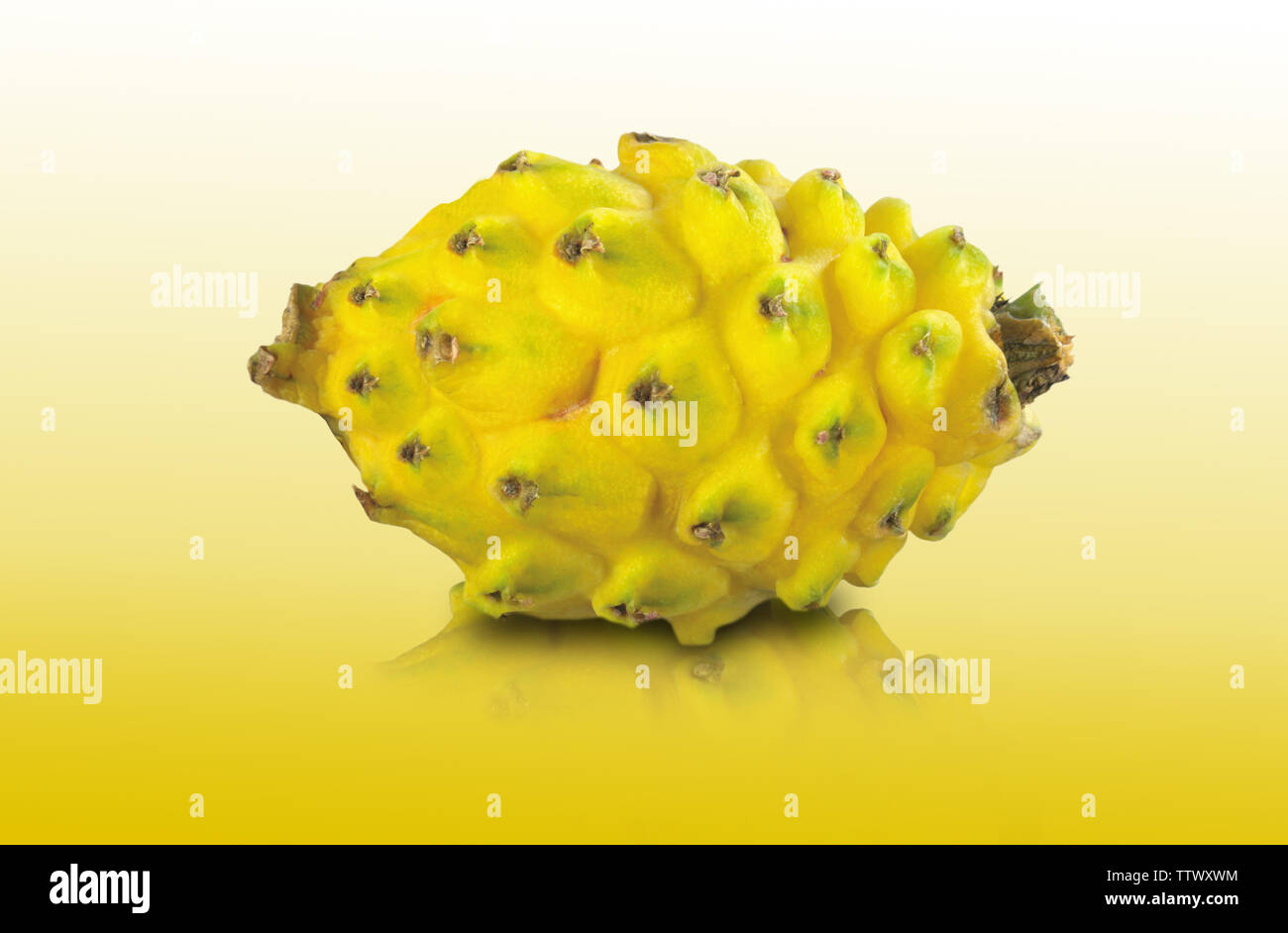 Pitaya pitahaya hi-res stock photography and images - Alamy