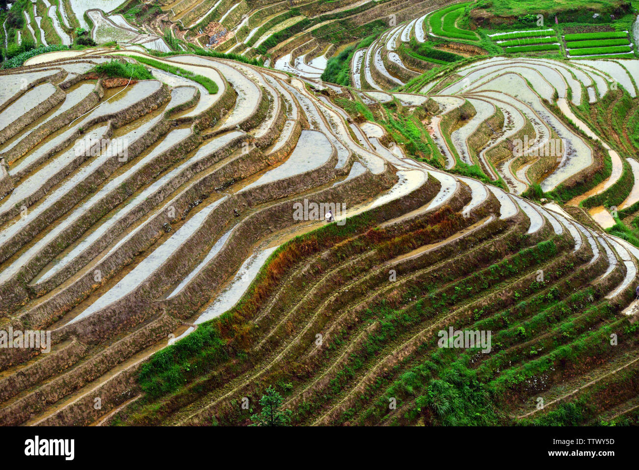 Guangxi dragon ridge terraces beautiful world Stock Photo - Alamy
