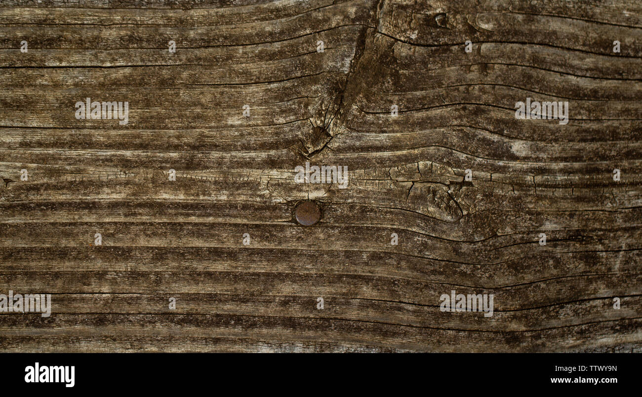 Wood Plank Texture Stock Photo - Alamy