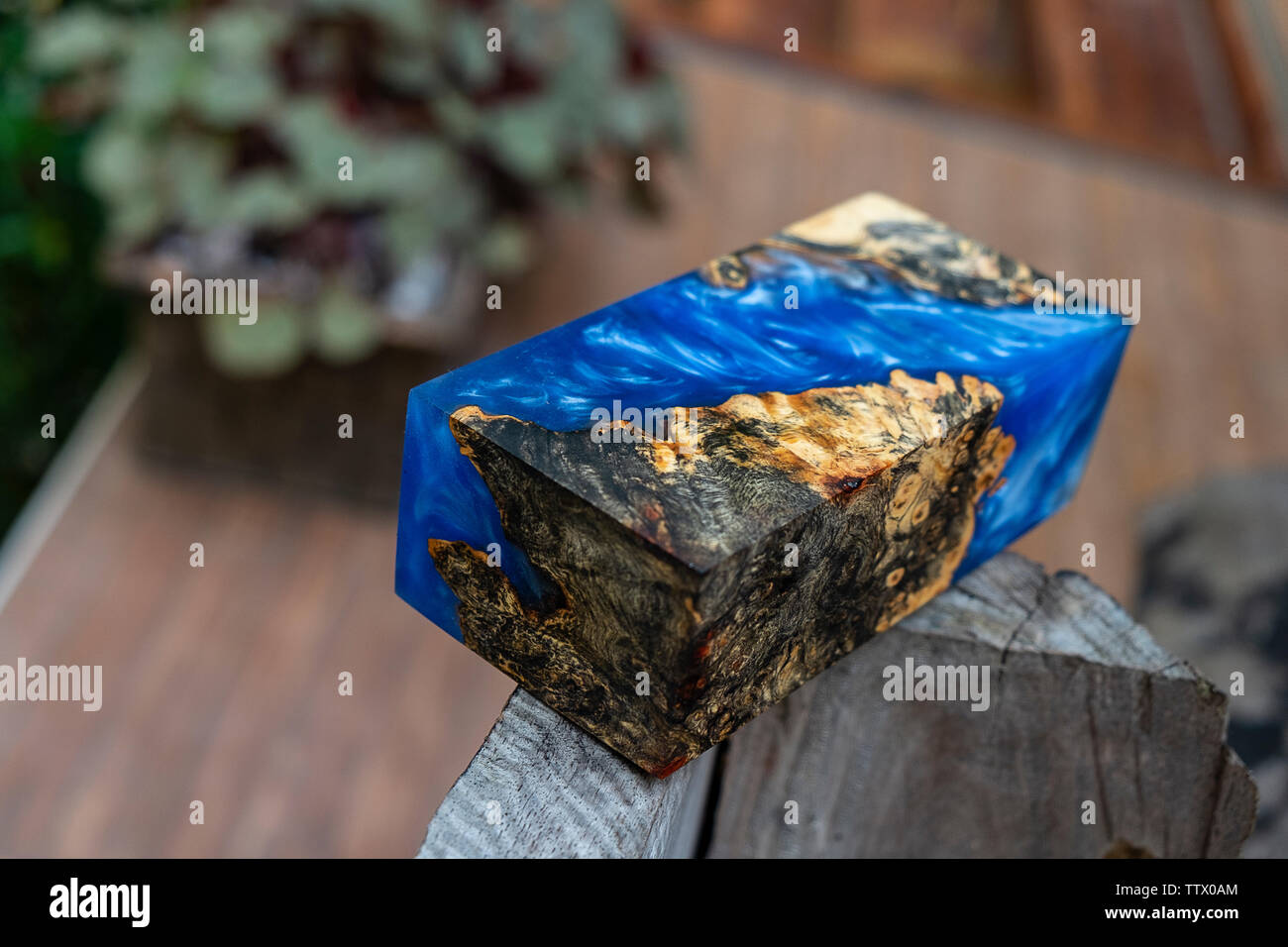 Burl wood textures hi-res stock photography and images - Alamy