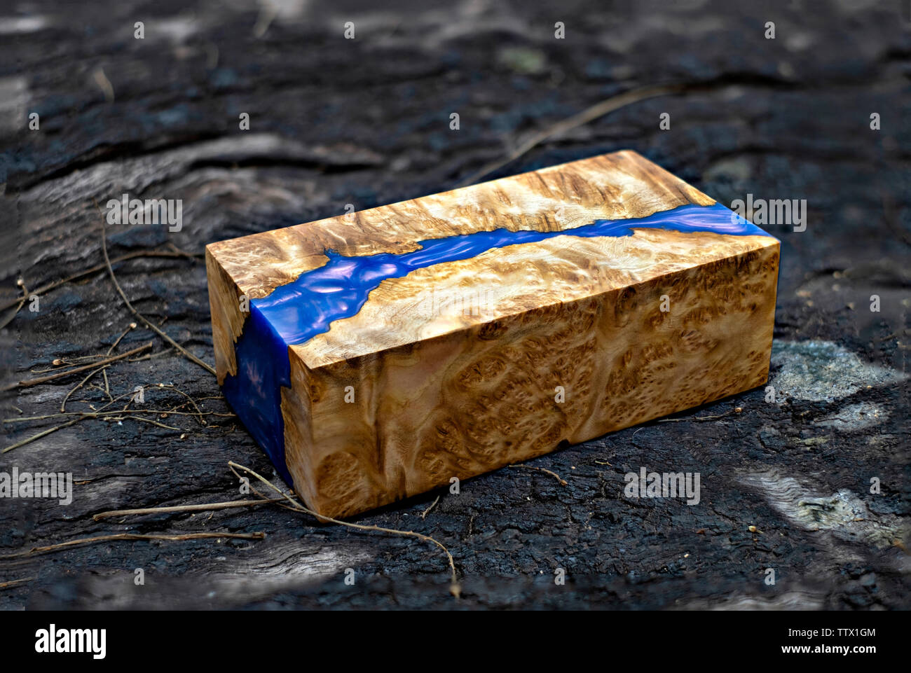 Casting epoxy resin stabilizing burl Leza Salao wood abstract art ...